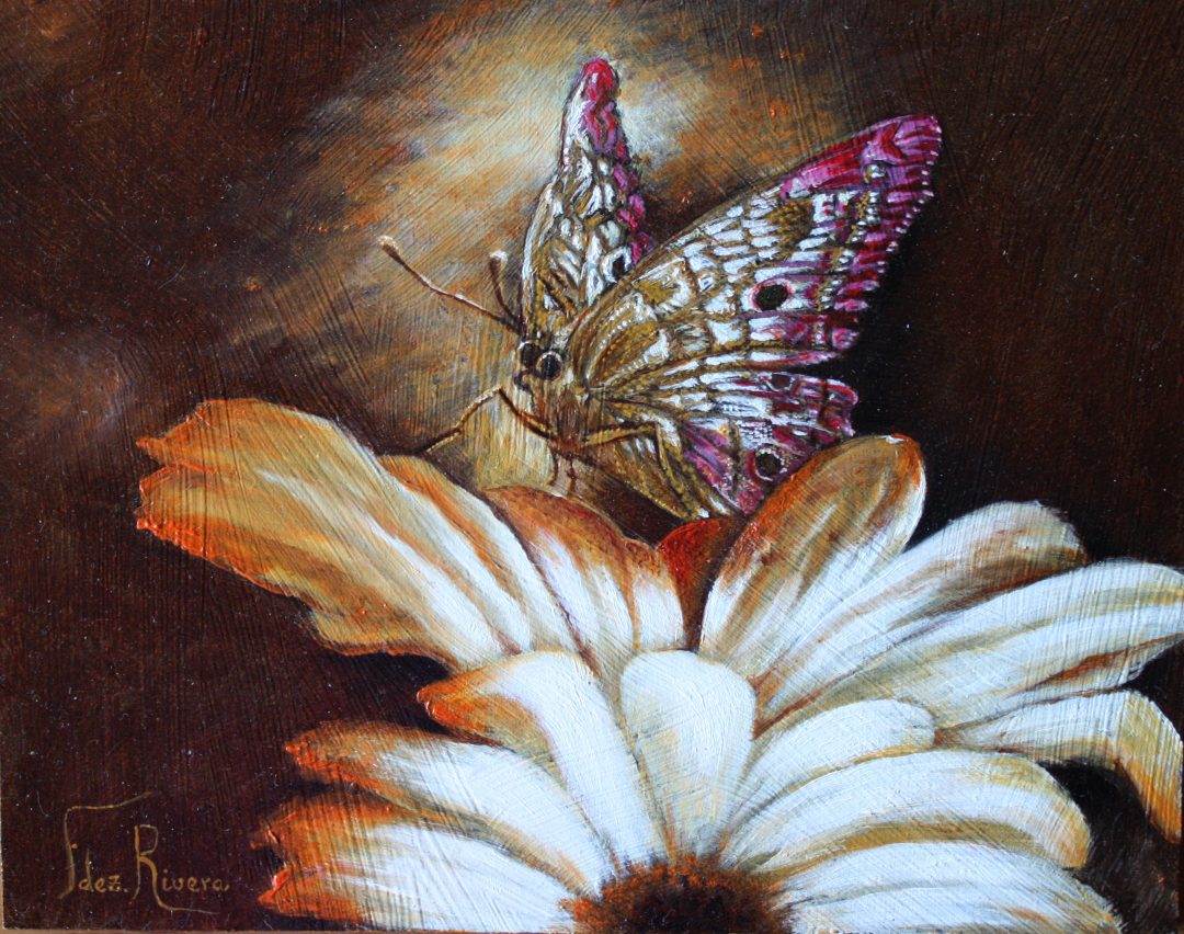 Mariposa en flor - Mari Carmen Fernández Rivera